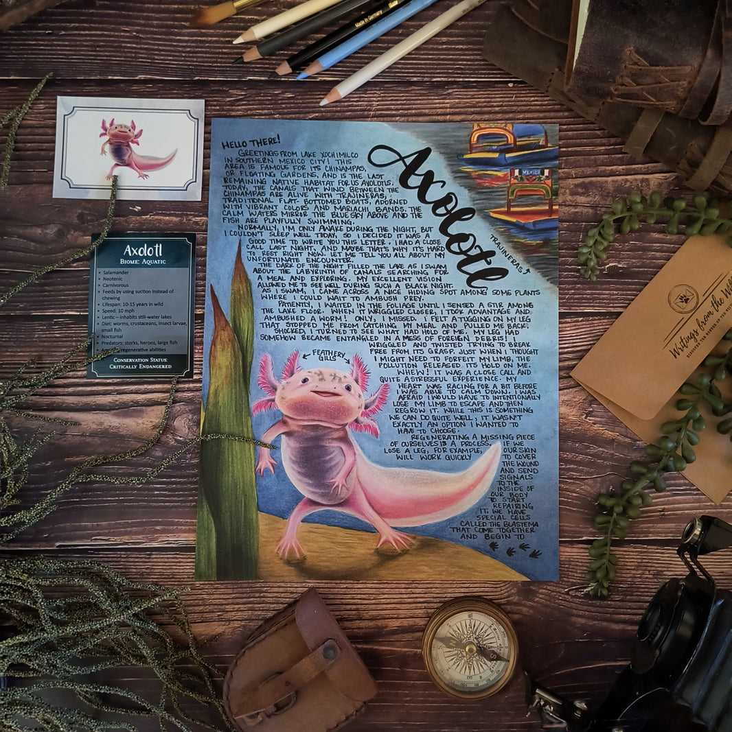 Products – Writings from the Wild