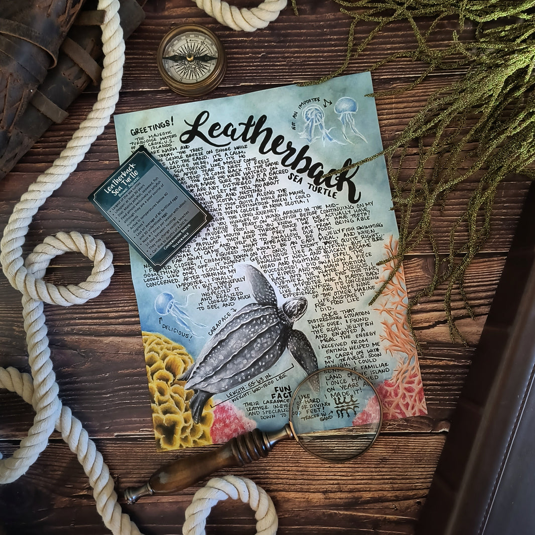 Past Letters – Writings from the Wild