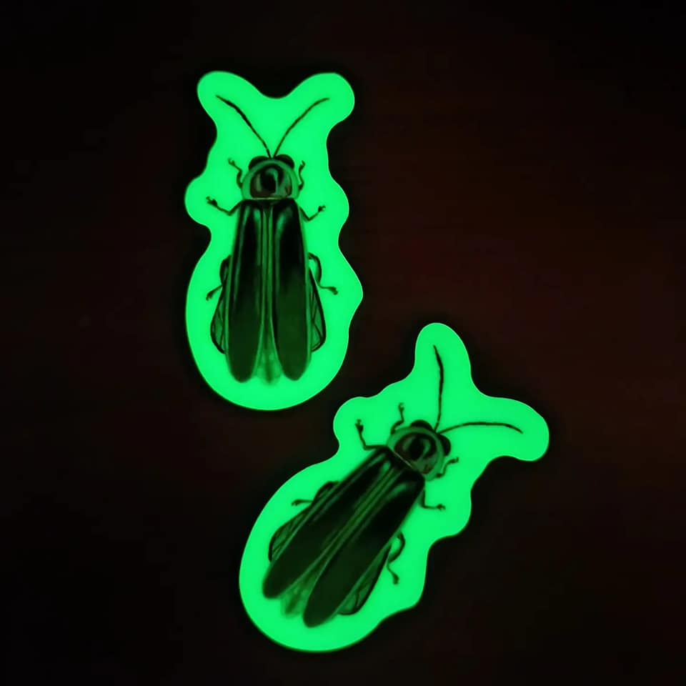 Writings from the Wild - Animal Letter Subscription for Kids