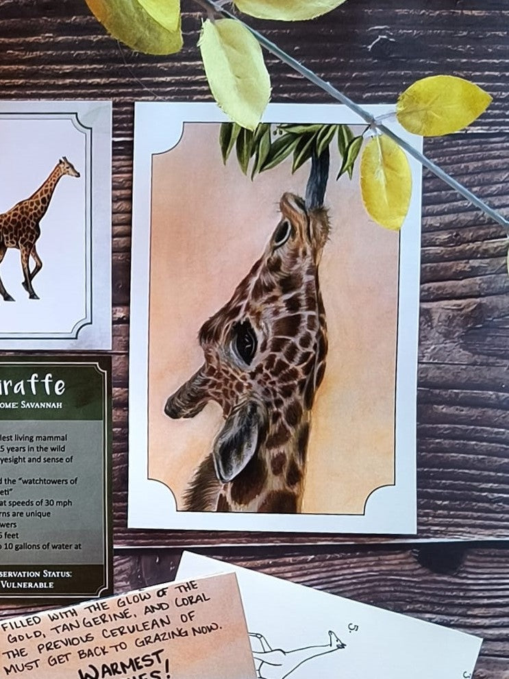 Writings from the Wild - Animal Letter Subscription for Kids