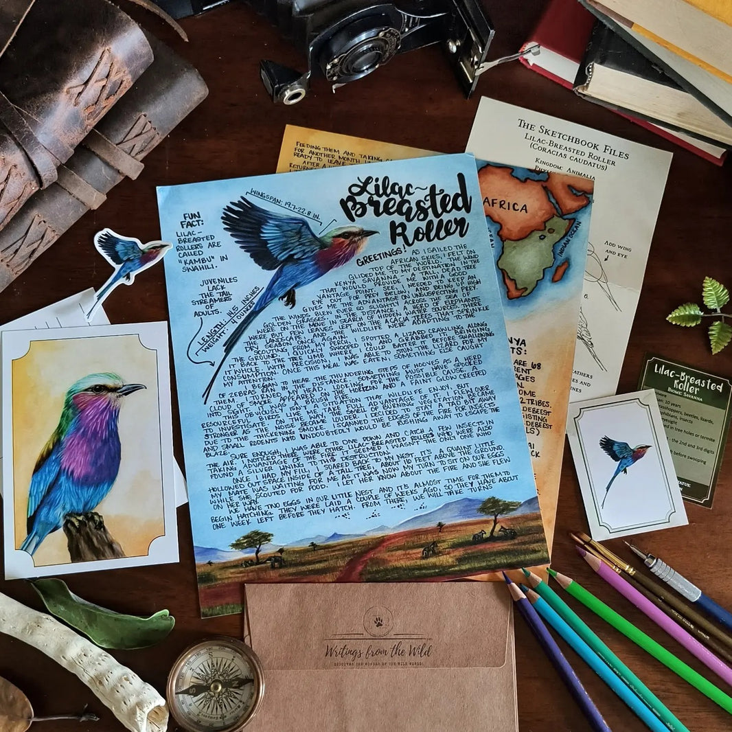 Past Letters – Writings from the Wild