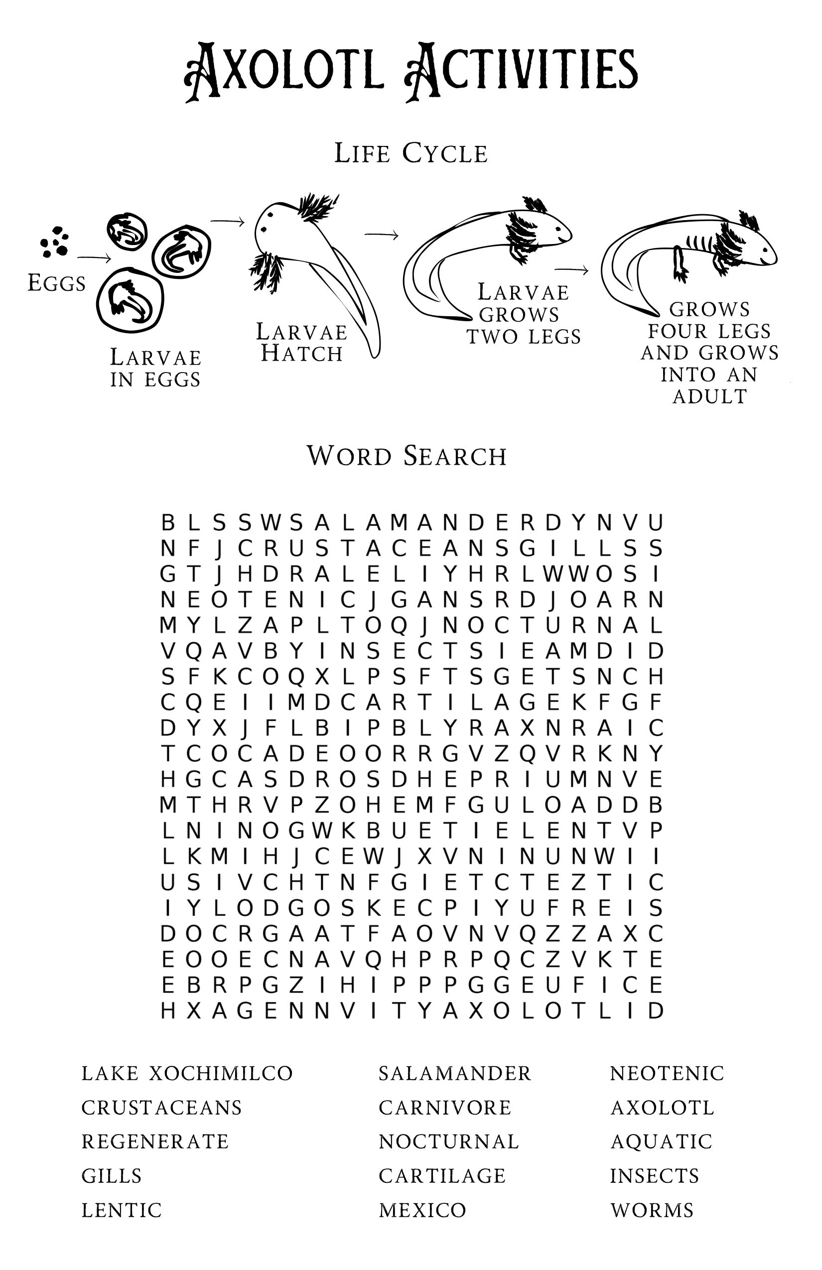 Products – Writings from the Wild