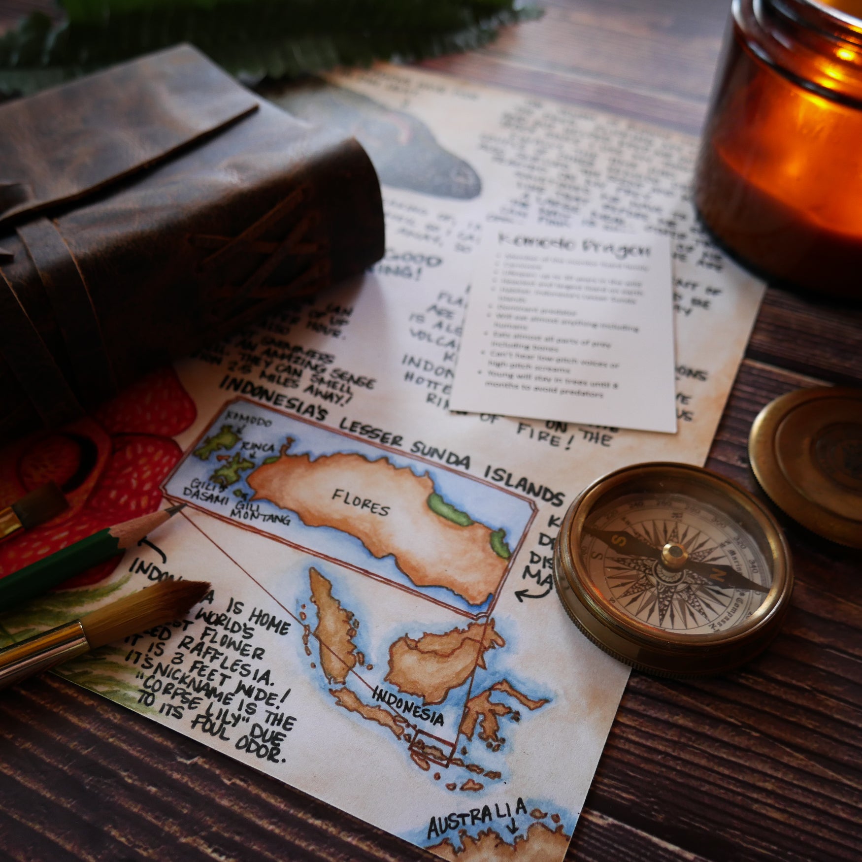 Writings from the Wild - Animal Letter Subscription for Kids